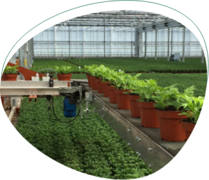 Horticultural Potting Machines & Automation - Hortec